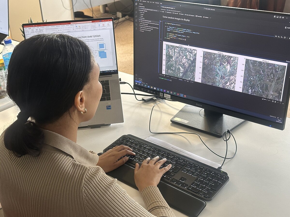 Focus sur le Master of Science BIHAR - ESTIA